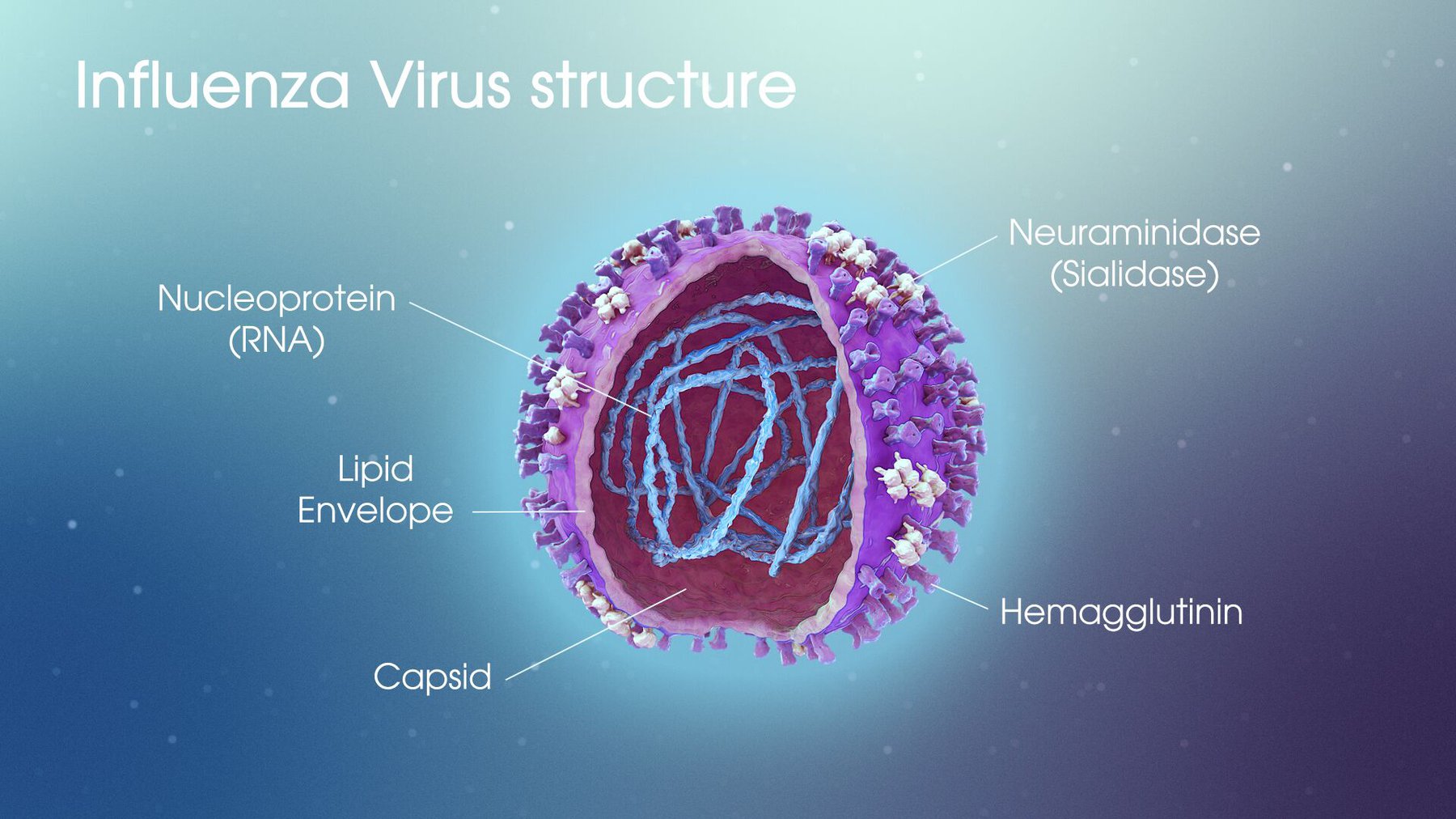 c i m C u T o C a Virus C m Vinmec c i m C u T o C a Virus C m Vinmec