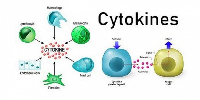 Learn about Cytokine Release Syndrome-CRS | Vinmec