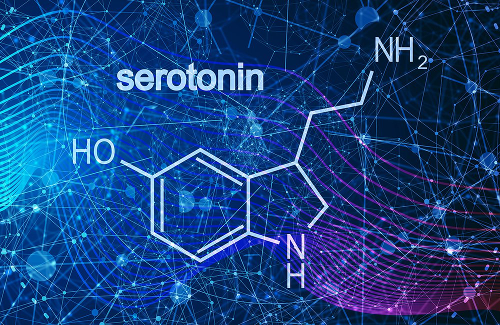 Serotonin syndrome: Mechanisms and complications | Vinmec