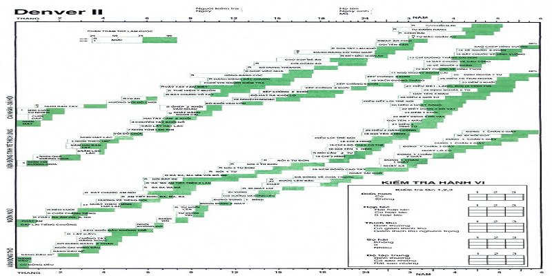The Denver Test assesses psychomotor development | Vinmec