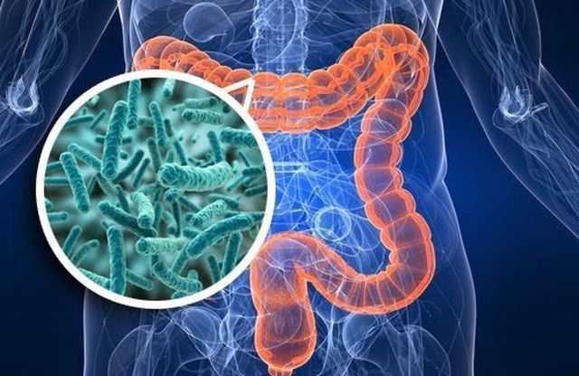 Balancing intestinal microflora in children | Vinmec