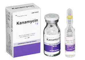 Kanamycin thuộc nhóm kháng sinh nào? | Vinmec