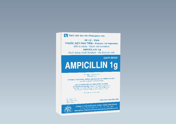 Uses of Ampicillin 1g | Vinmec