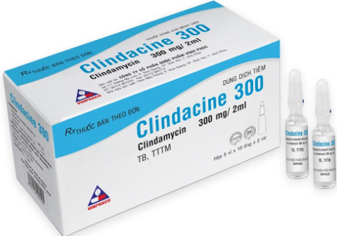 Uses of Clindacine 300 | Vinmec